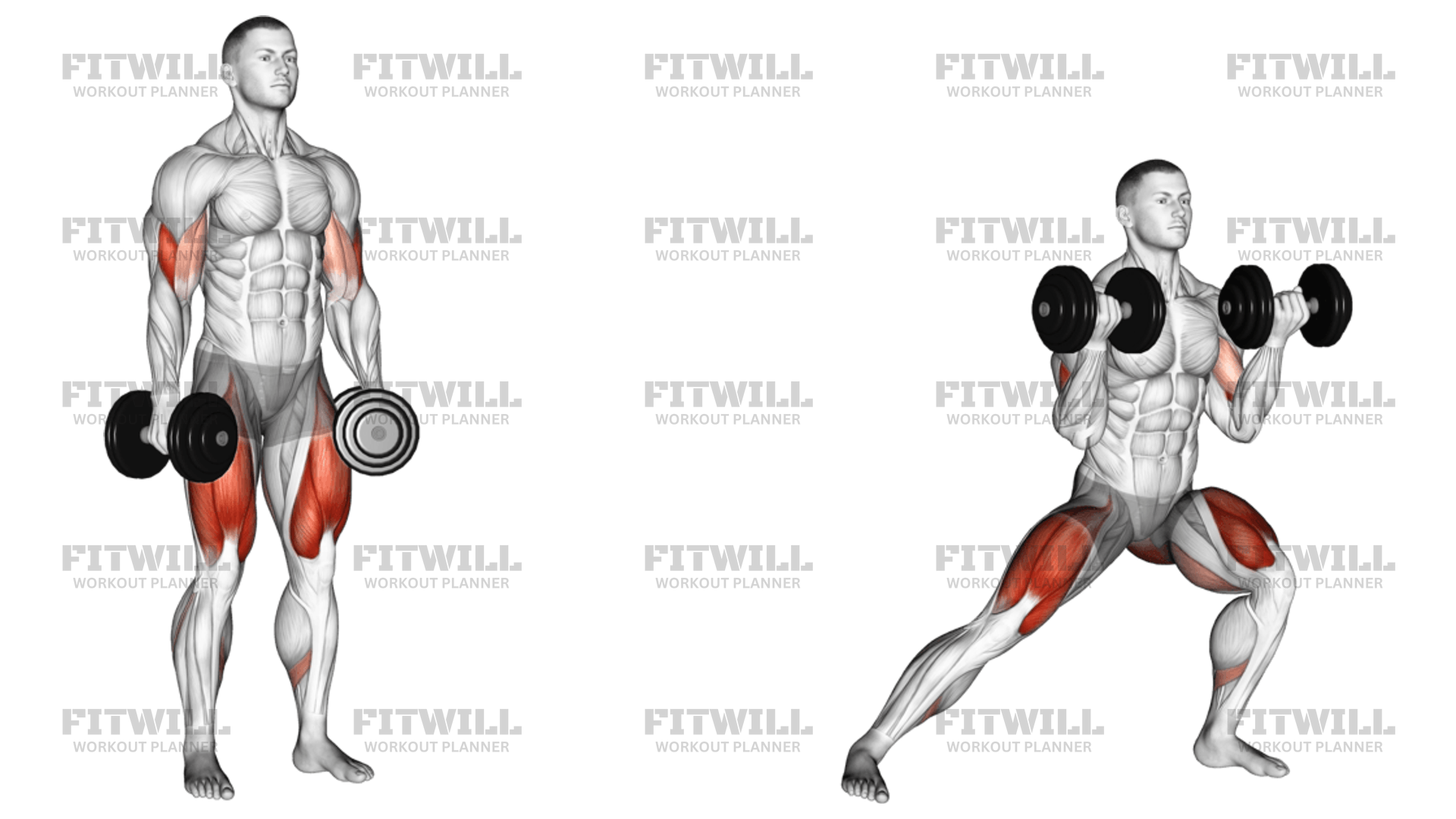 Zancada Lateral Con Mancuernas Y Curl De Bíceps: Guía de Ejercicios ...