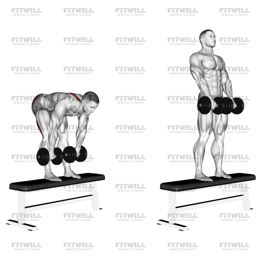 Dumbbell Stiff Leg Deadlift On Bench: Exercise Guide, Techniques ...