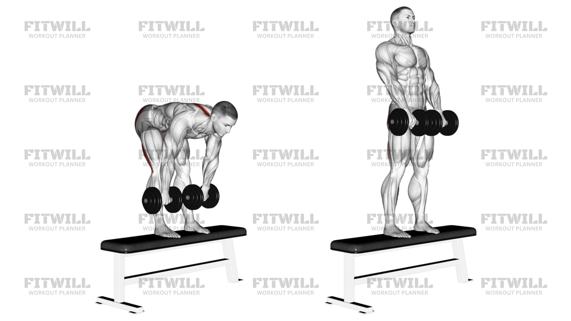 Dumbbell Stiff Leg Deadlift On Bench: Exercise Guide, Techniques ...