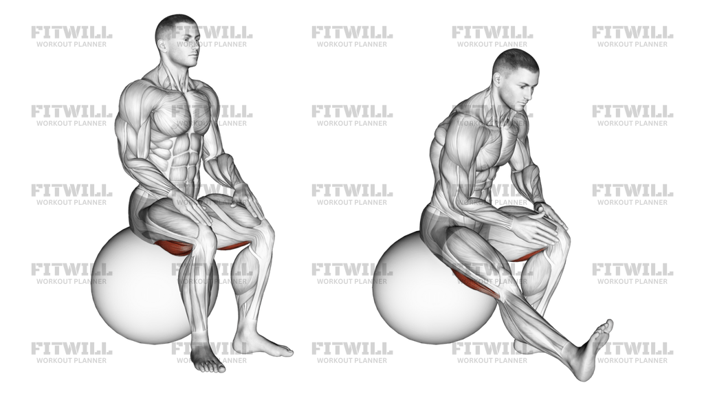 Exercise Ball Seated Hamstring Stretch: Exercise Guide, Techniques ...