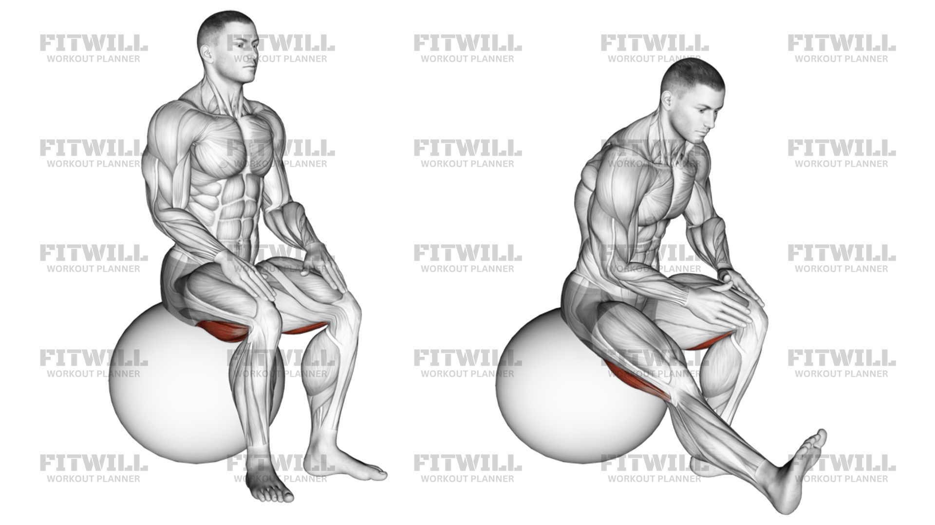 Exercise Ball Seated Hamstring Stretch: Exercise Guide, Techniques ... Exercise Ball Seated Hamstring Stretch: Exercise Guide, Techniques ...