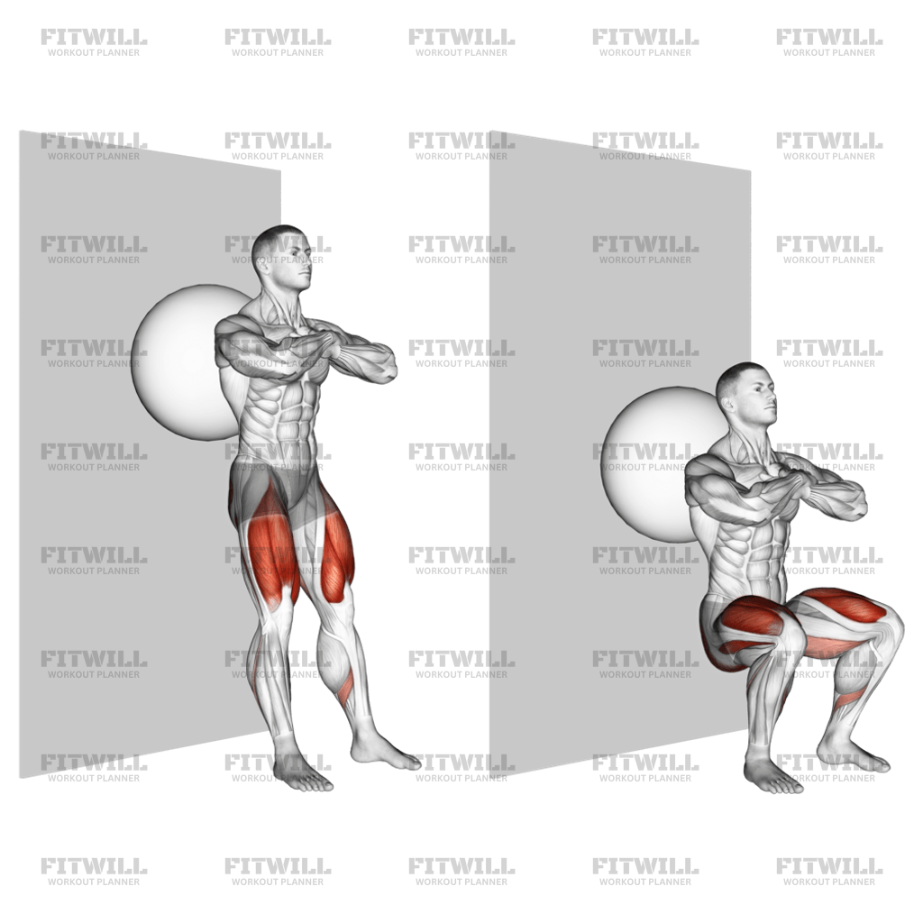 Exercise Ball Wall Squat: Exercise Guide, Video, Techniques, Benefits ...