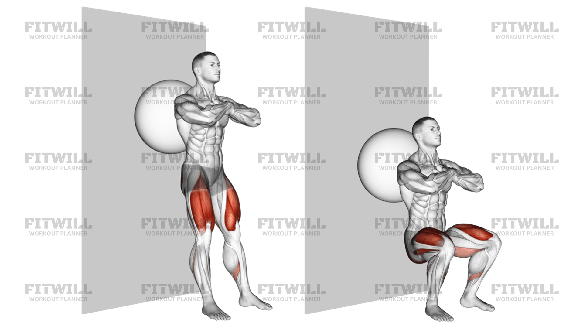 Exercise Ball Wall Squat: Exercise Guide, Video, Techniques, Benefits ...