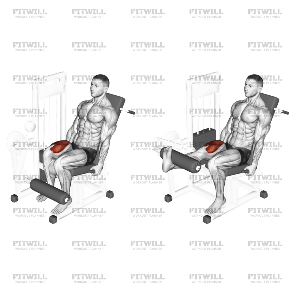 Lever One Leg Extension: Exercise Guide, Video, Techniques, Benefits ...