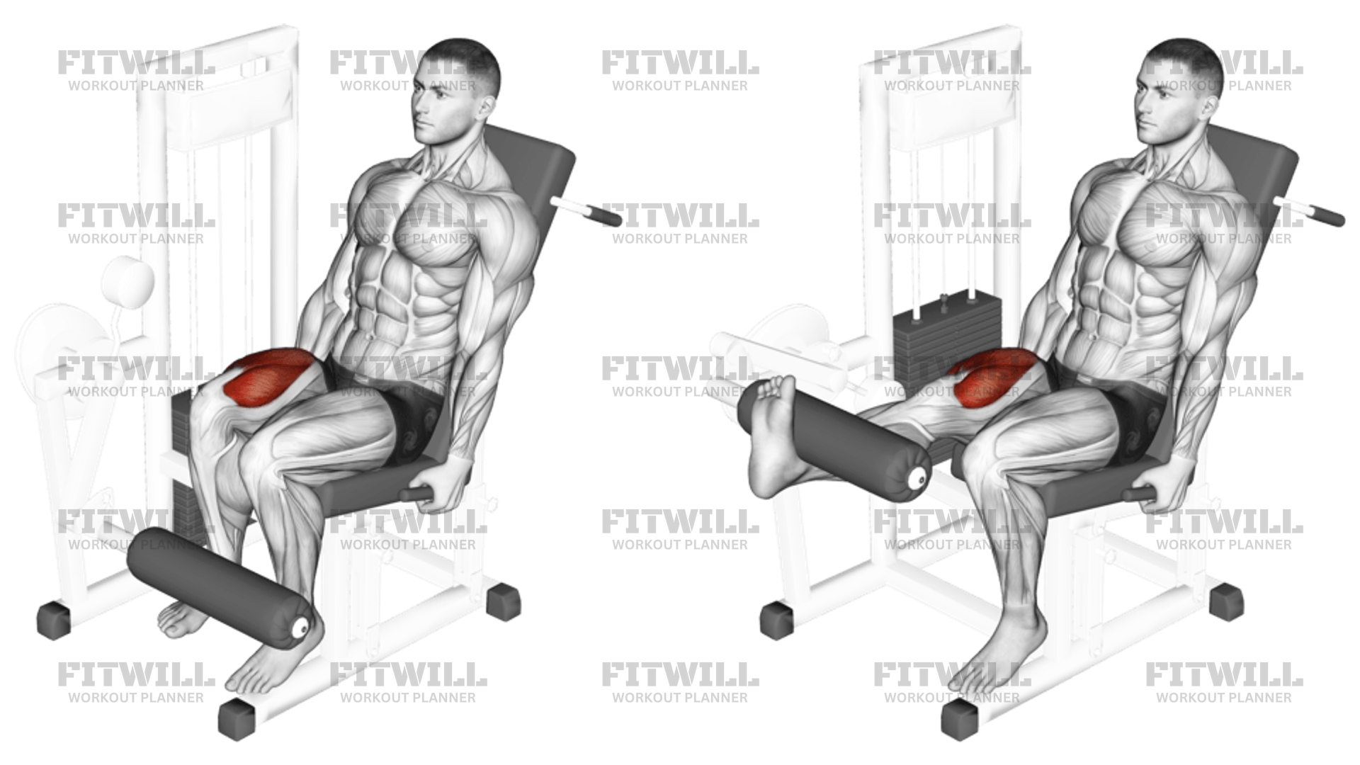 Lever One Leg Extension: Exercise Guide, Video, Techniques, Benefits ...