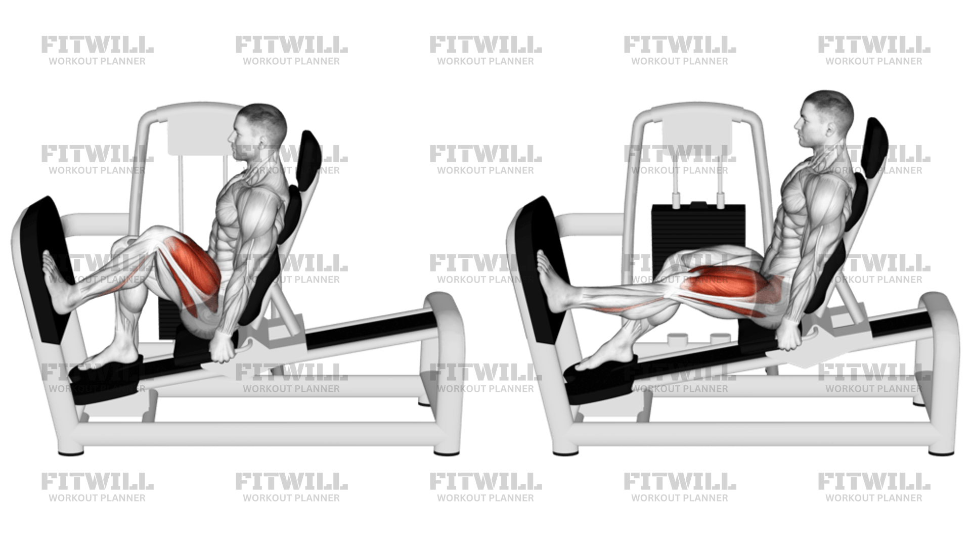 Lever Seated One Leg Wide Squat: Exercise Guide, Techniques, Benefits ...