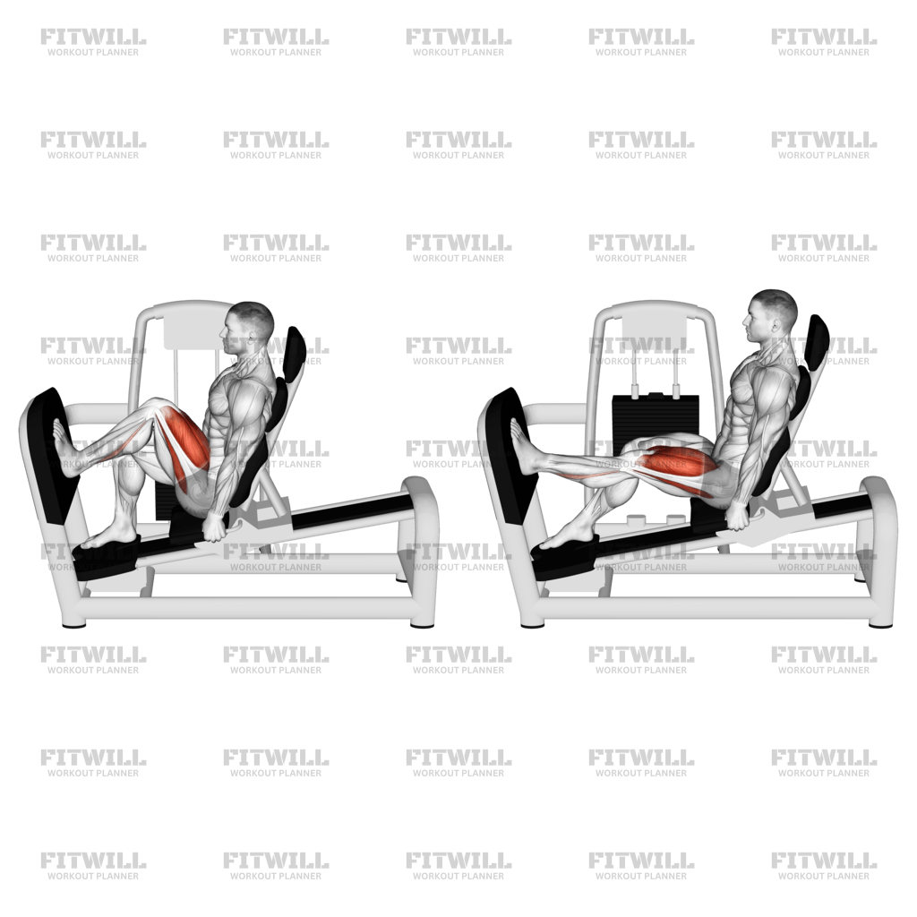 Lever Seated One Leg Squat: Exercise Guide, Techniques, Benefits, How ...