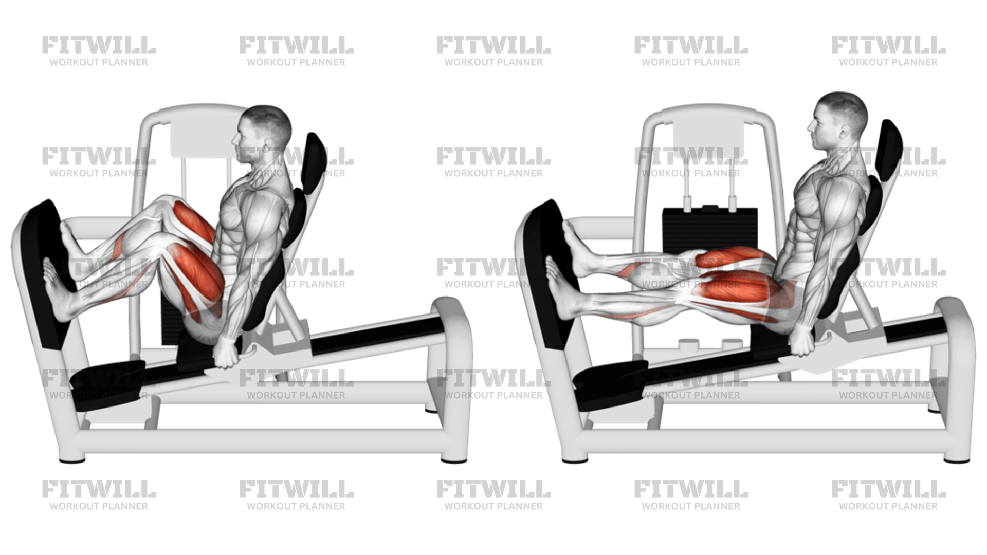 Sentadilla Ancha Sentado En Palanca: Guía de Ejercicios, Técnicas ...