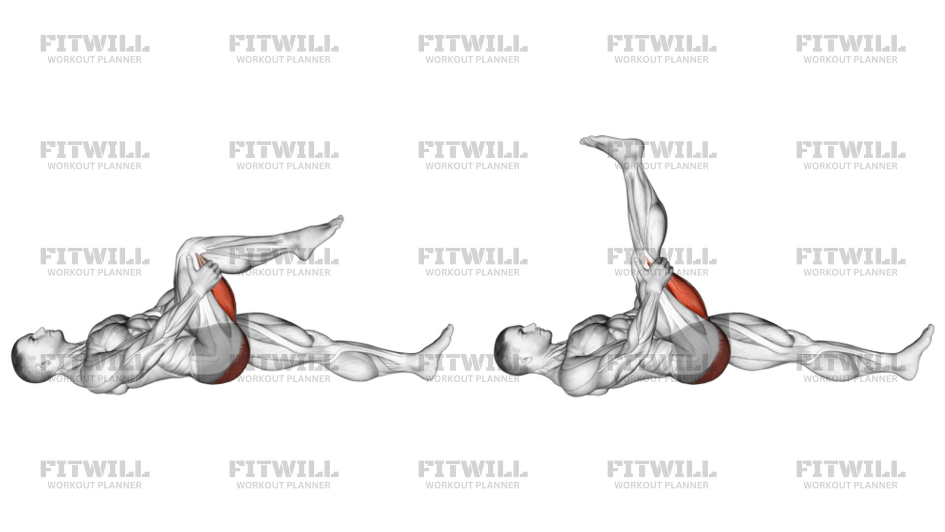 Leg Up Hamstring Stretch: Exercise Guide, Techniques, Benefits, How to ...