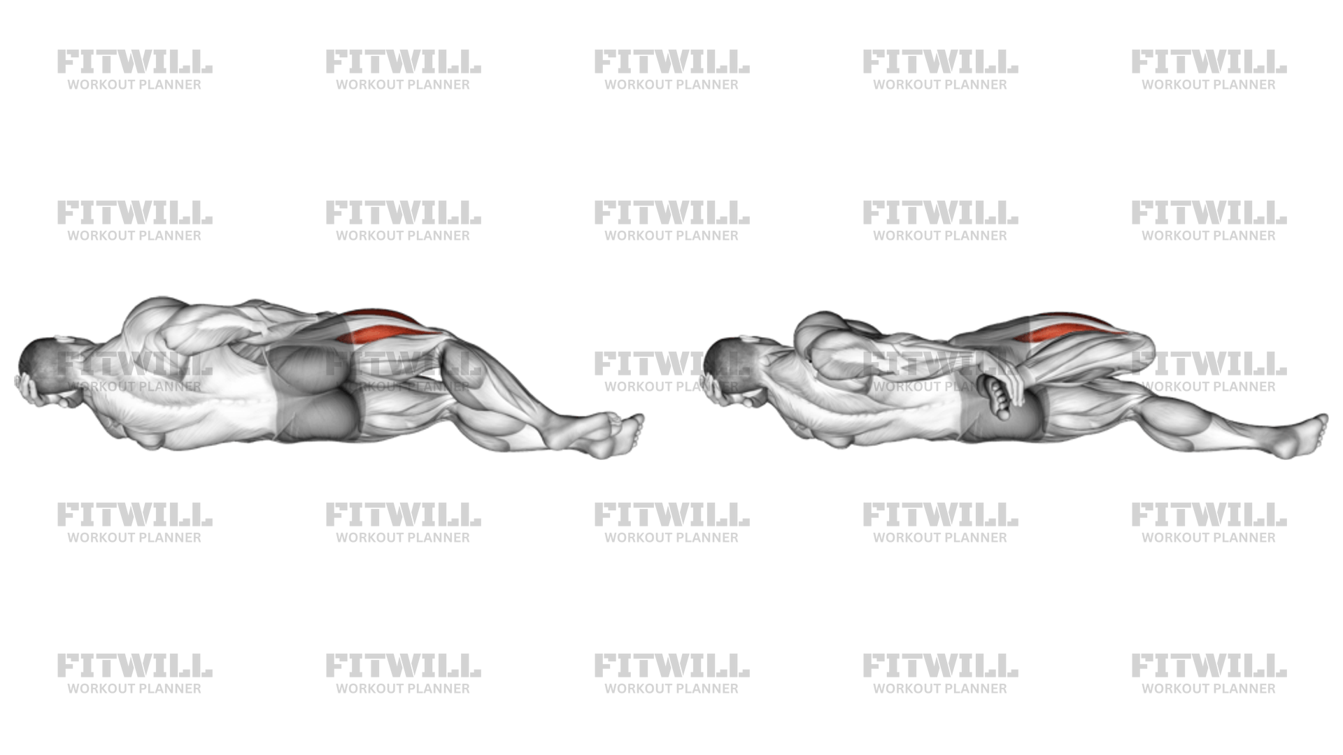 Lying Hip Flexor: Exercise Guide, Techniques, Benefits, How to, Muscles ...
