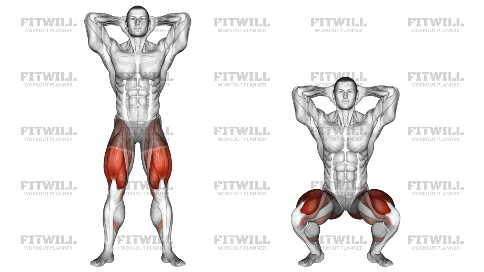 Prisoner Squat: Exercise Guide, Techniques, Benefits, How to, Muscles ...