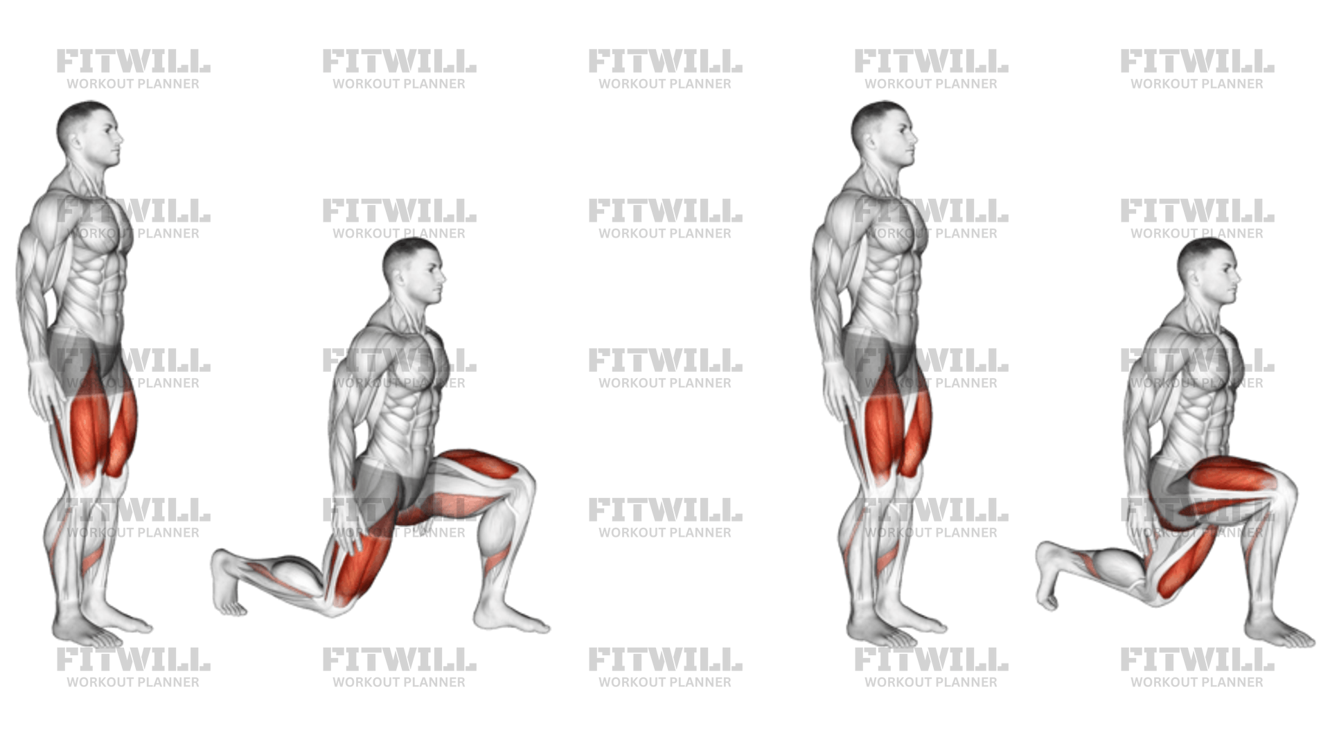 Zancada Hacia Atrás Con Peso Corporal: Guía de Ejercicios, Video ...