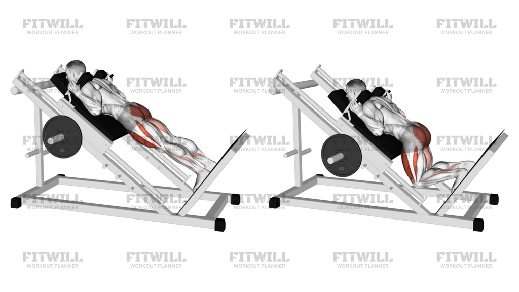 Sentadilla Hack Inversa En Trineo: Guía de Ejercicios, Video, Técnicas ...