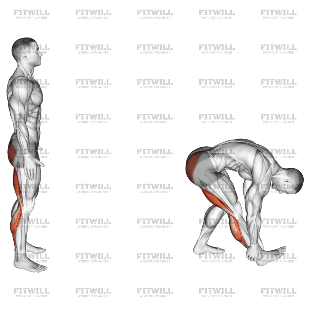 Runners Stretch: Exercise Guide, Video, Techniques, Benefits, How to ...