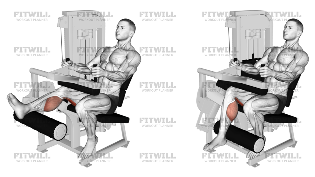 Lever Seated One Leg Curl R Exercise Guide Video Techniques Benefits How To Muscles