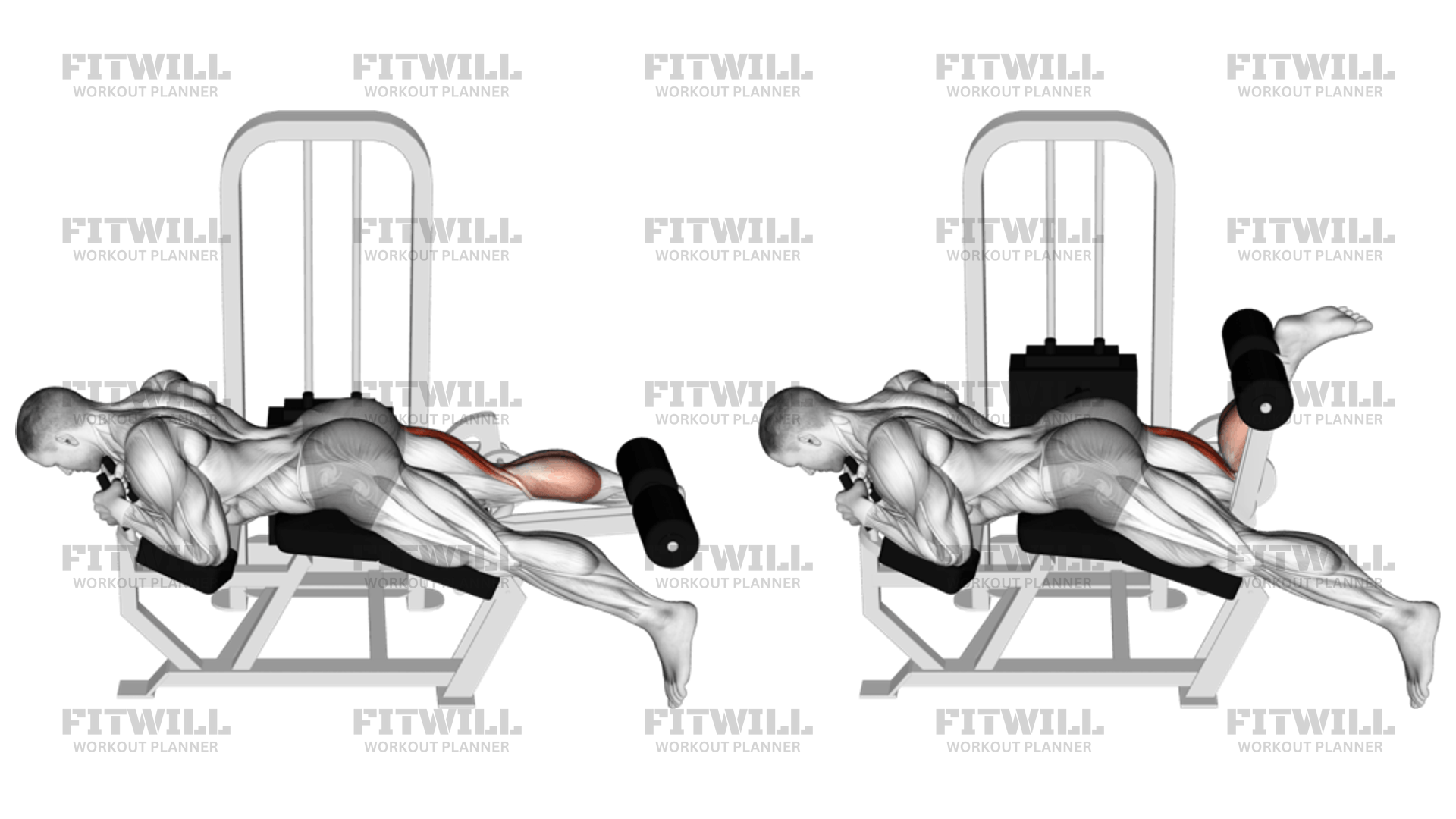 Lever Lying Single Leg Curl: Exercise Guide, Video, Techniques ...