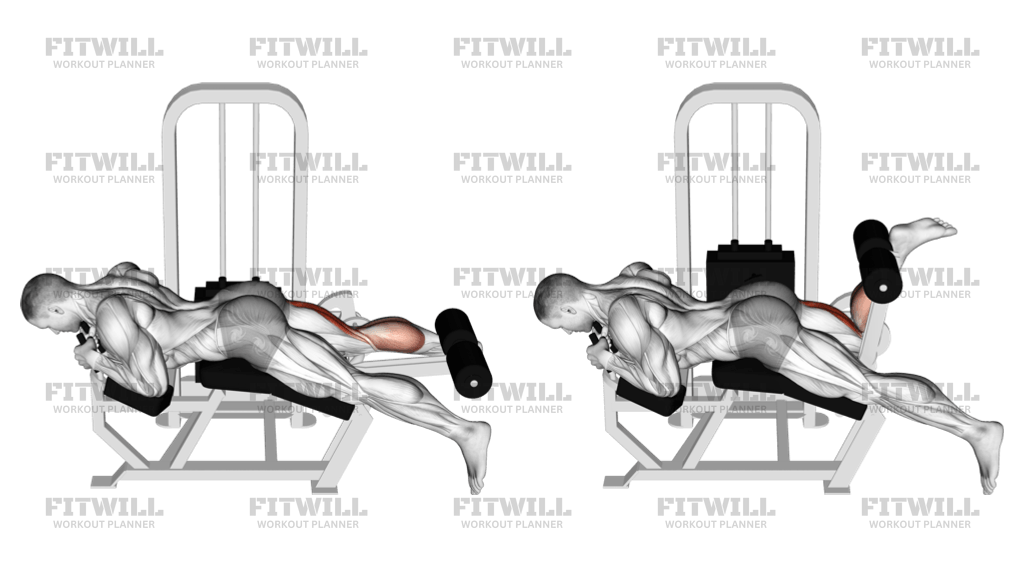 Lever Lying Single Leg Curl: Exercise Guide, Video, Techniques ...