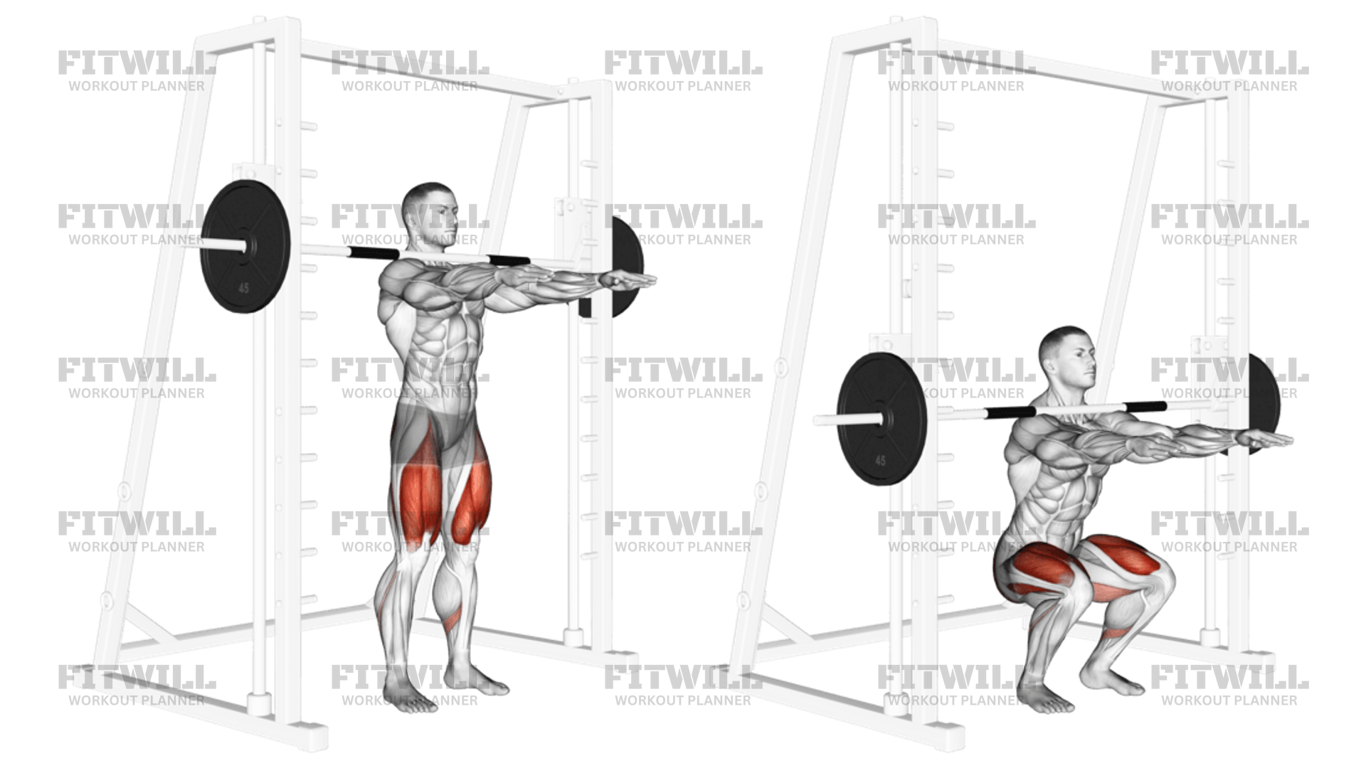 Smith Frankenstein Squat: Exercise Guide, Techniques, Benefits, How to ...
