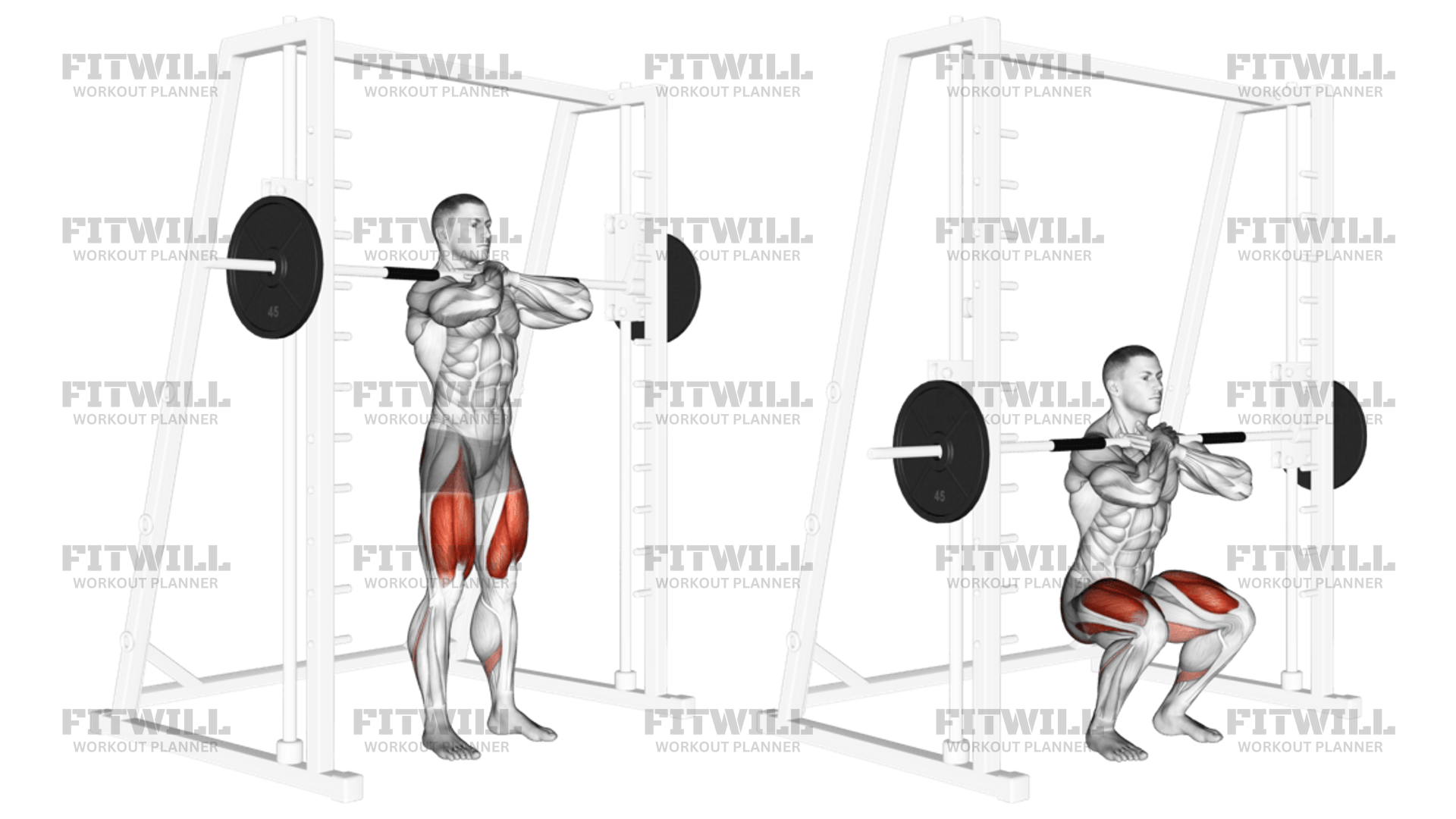 Smith Front Squat: Exercise Guide, Video, Techniques, Benefits, How to, Muscles Worked, Tips ...
