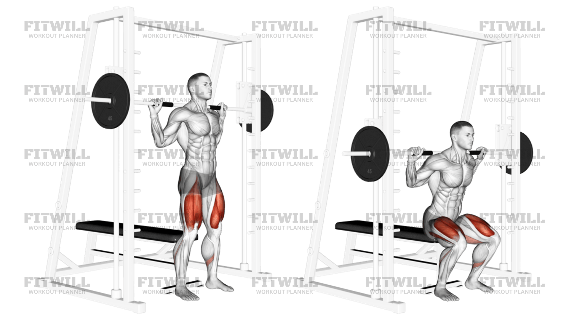 Sentadilla En Smith Con Banco: Guía de Ejercicios, Video, Técnicas ...