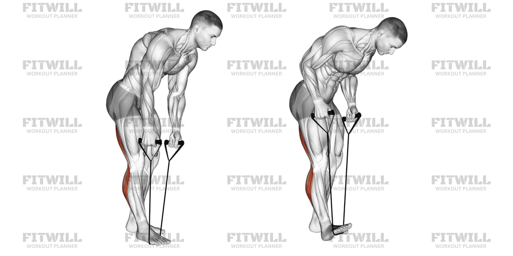 Standing Hamstring and Calf Stretch with Strap: Guide, Techniques ...
