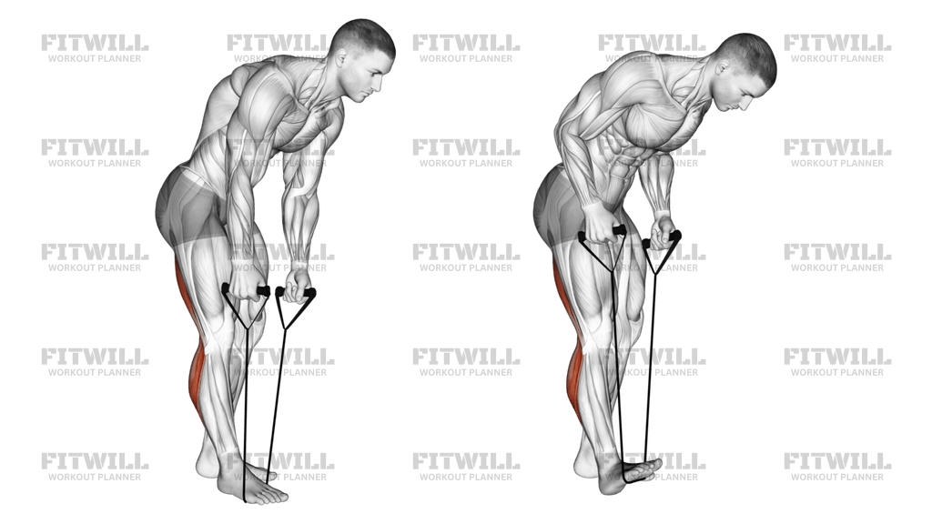 Standing Hamstring And Calf Stretch With Strap: Exercise Guide, Video ...