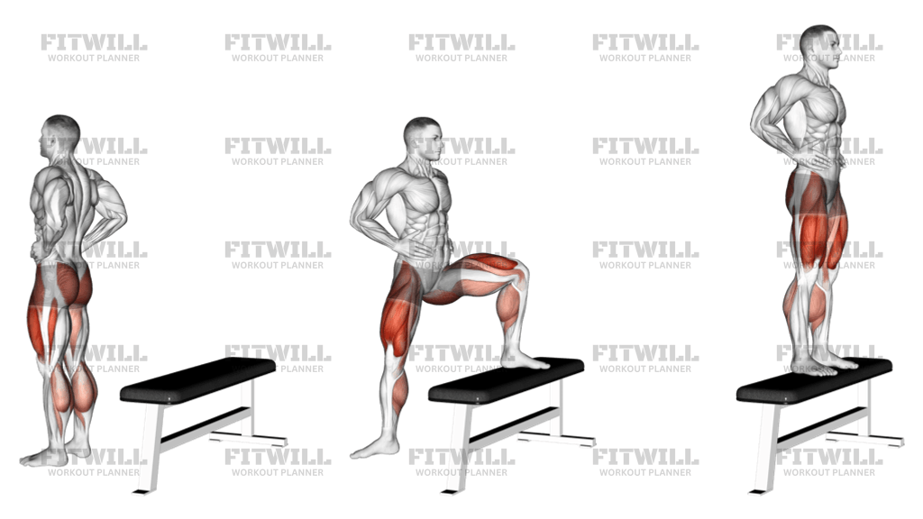 Transverse Step Up: Exercise Guide, Techniques, Benefits, How to ...