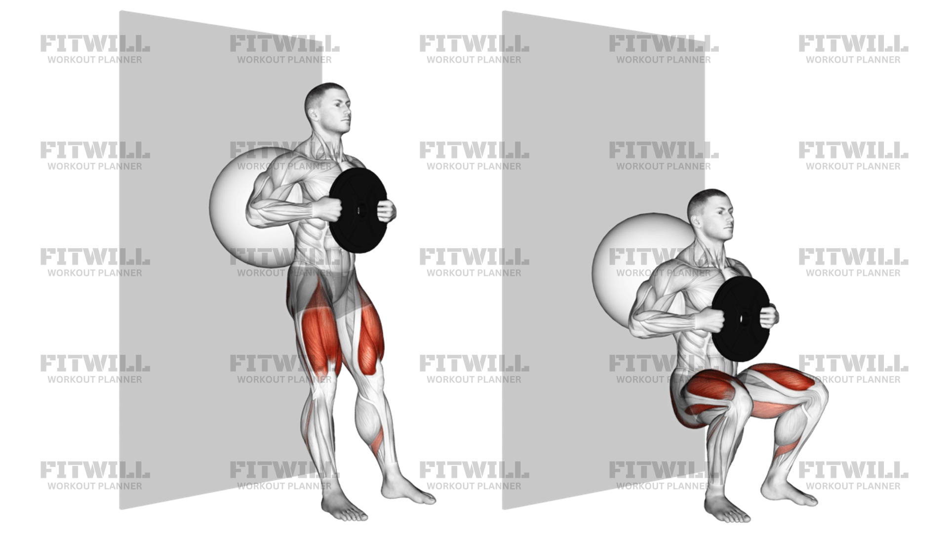 Sentadilla En La Pared Con Balón Medicinal Con Peso: Guía de Ejercicios ...