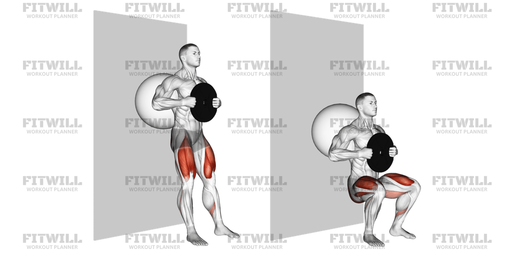 Weighted Exercise Ball Wall Squat: Exercise Guide, Video, Techniques ...
