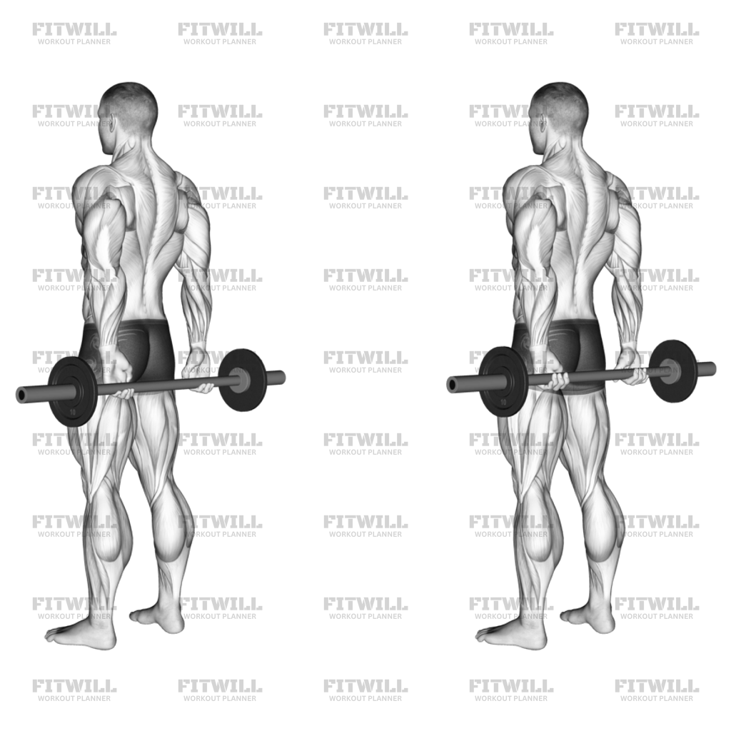 Barbell Behind Back Finger Curl: Exercise Guide, Techniques, Benefits ...