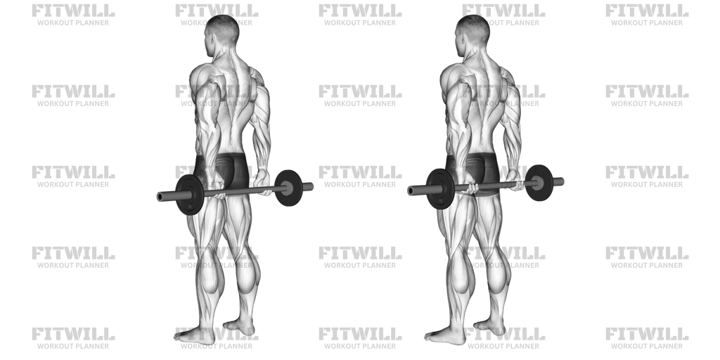 Barbell Behind Back Finger Curl: Exercise Guide, Techniques, Benefits ...
