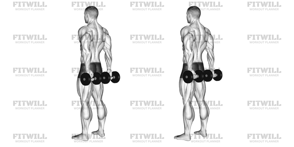 Dumbbell Behind Back Finger Curl: Exercise Guide, Video, Techniques ...