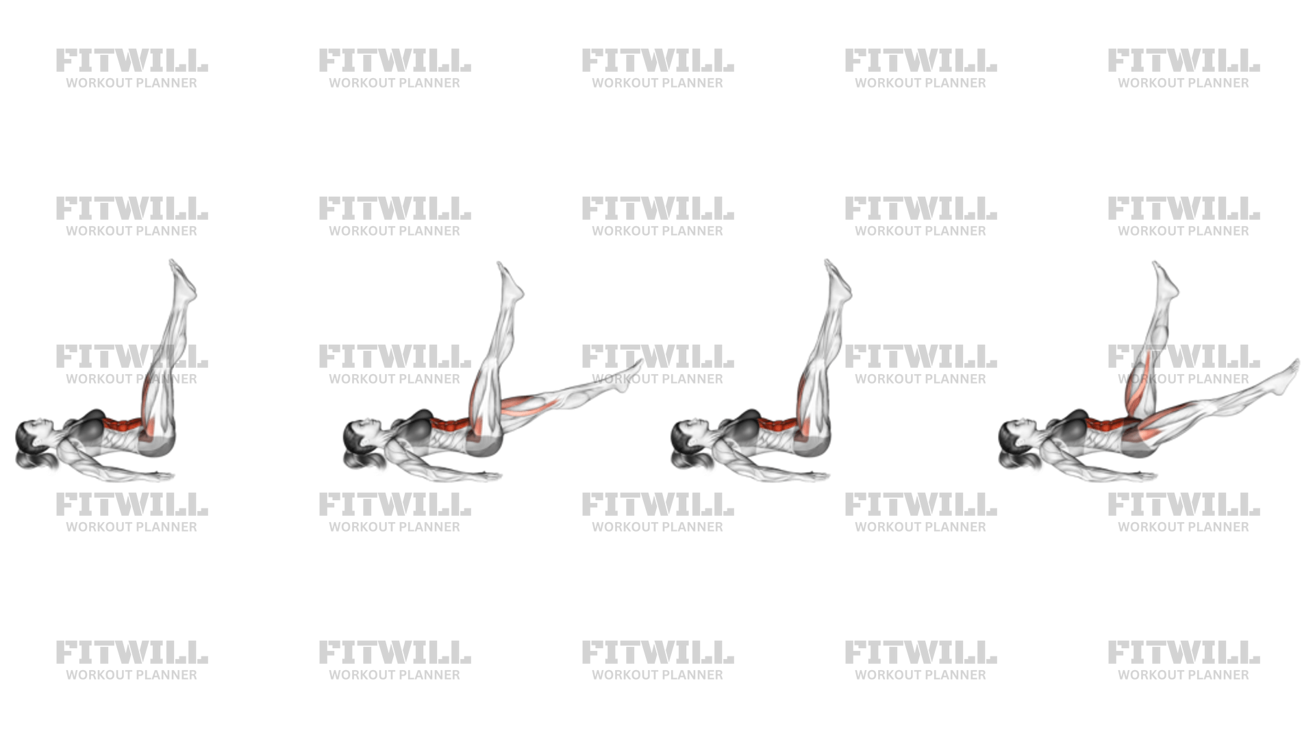 Alternate Leg Raise: Exercise Guide, Video, Techniques, Benefits, How ...