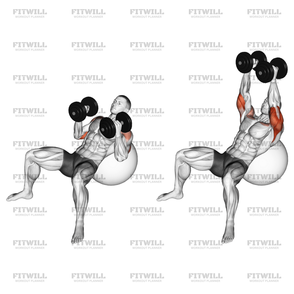 Dumbbell Incline Hammer Press On Exercise Ball: Exercise Guide ...