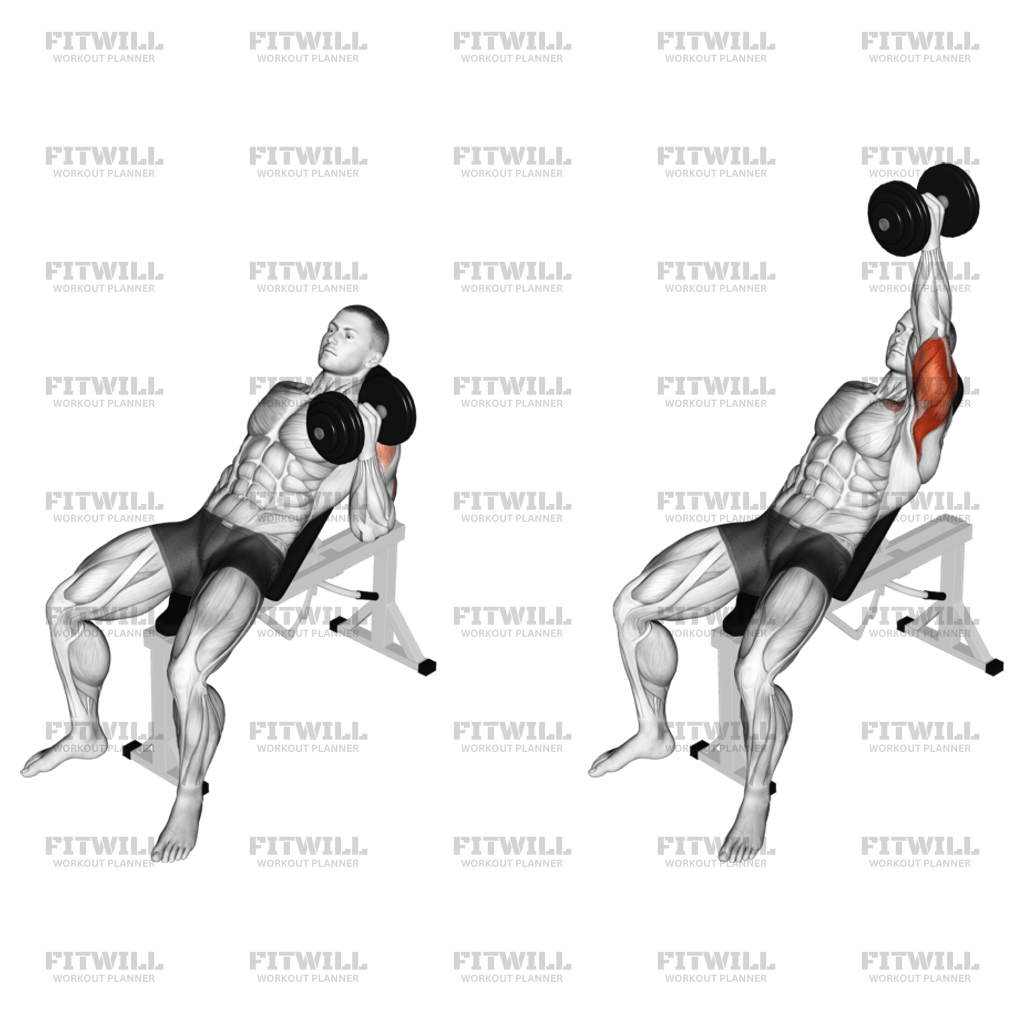 Dumbbell Incline One Arm Hammer Press: Exercise Guide, Video, Techniques, Benefits, How to ...