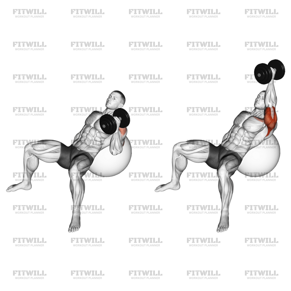 Dumbbell Incline One Arm Hammer Press On Exercise Ball: Exercise Guide ...