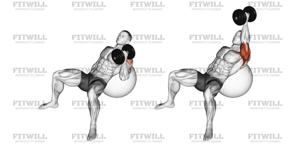 Dumbbell Incline One Arm Hammer Press on Exercise Ball: Guide, Techniques, Benefits, How to ...