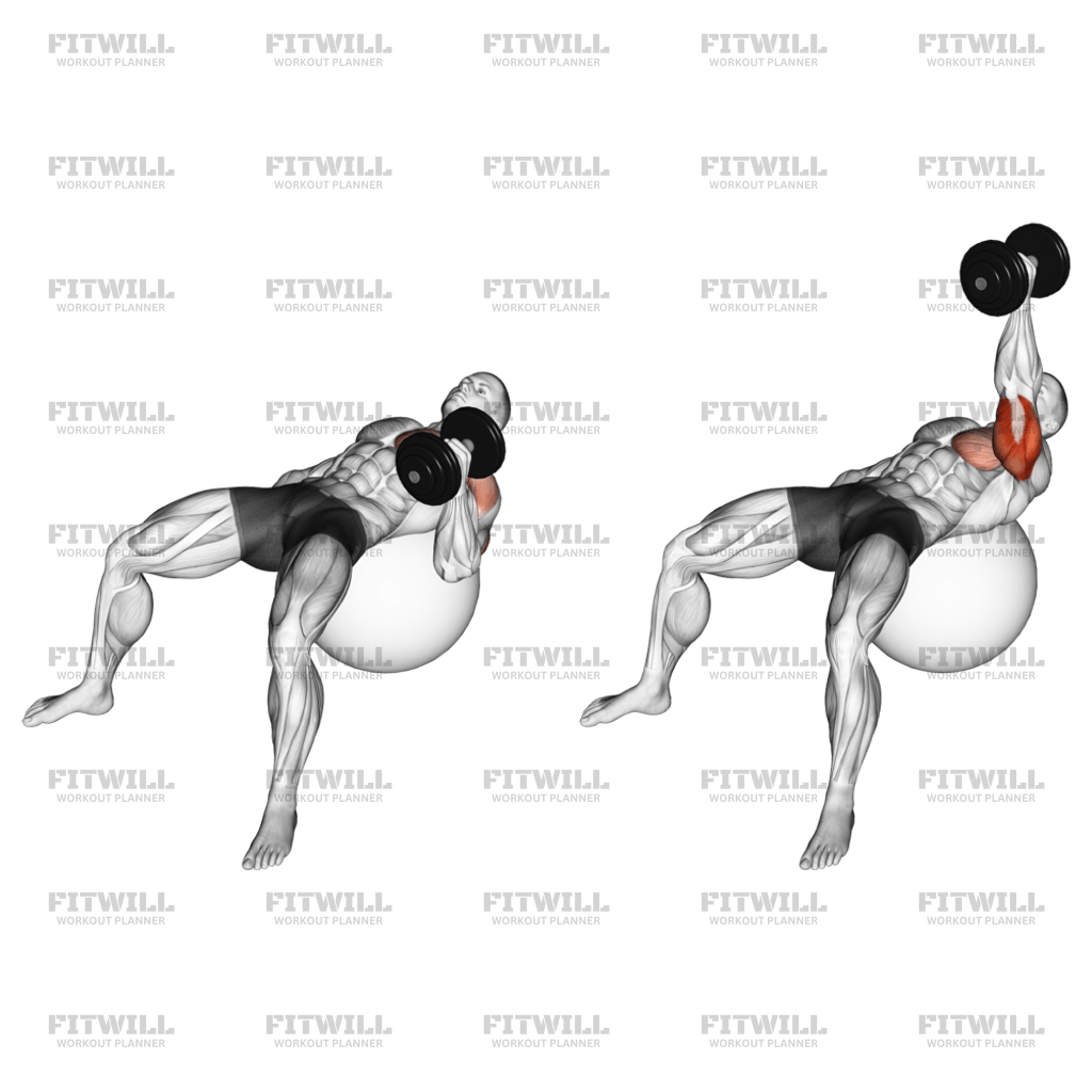 Dumbbell One Arm Hammer Press On Exercise Ball: Exercise Guide ...
