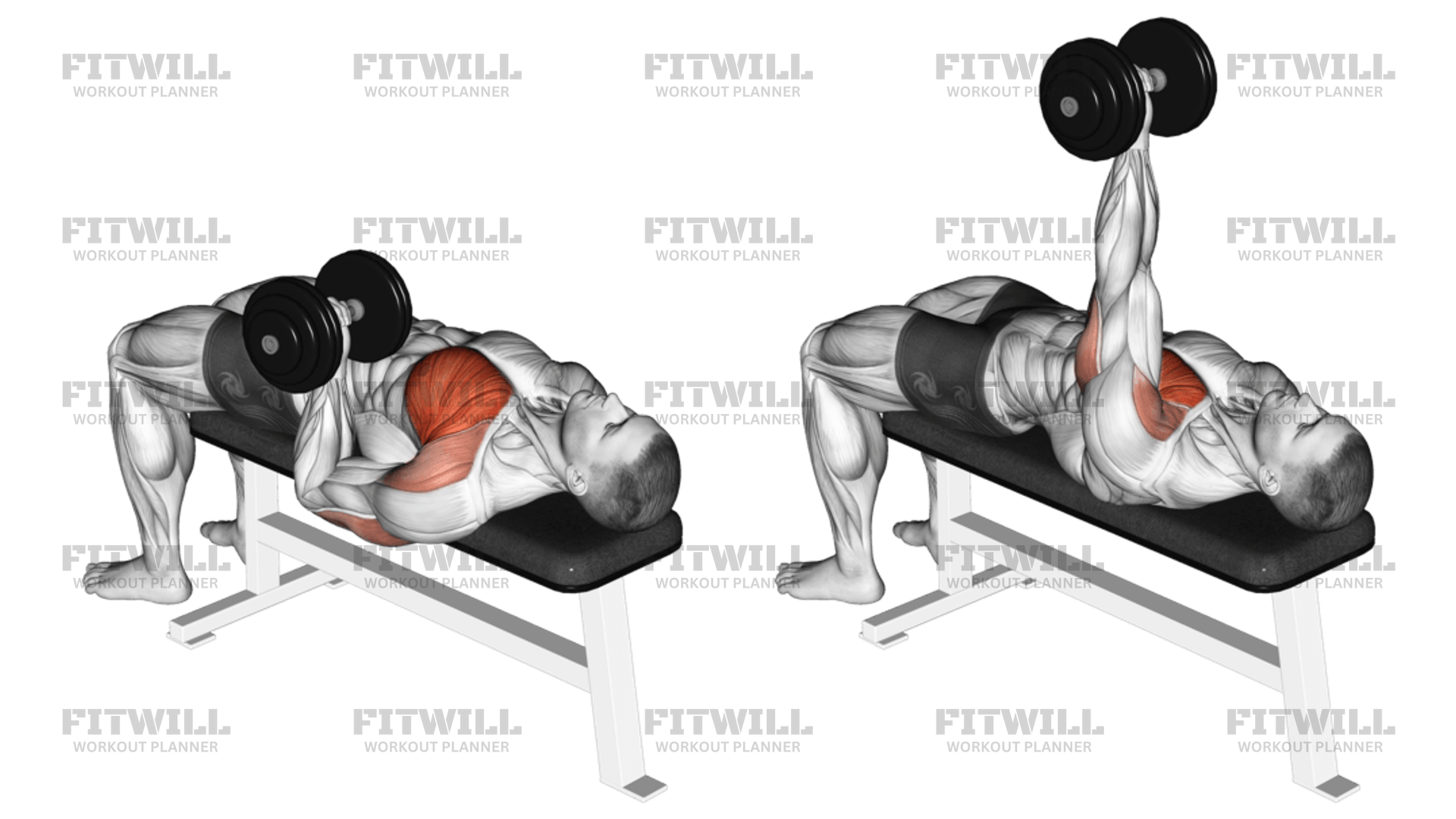 Dumbbell One-Arm Reverse-Grip Press: Exercise Guide, Techniques ...