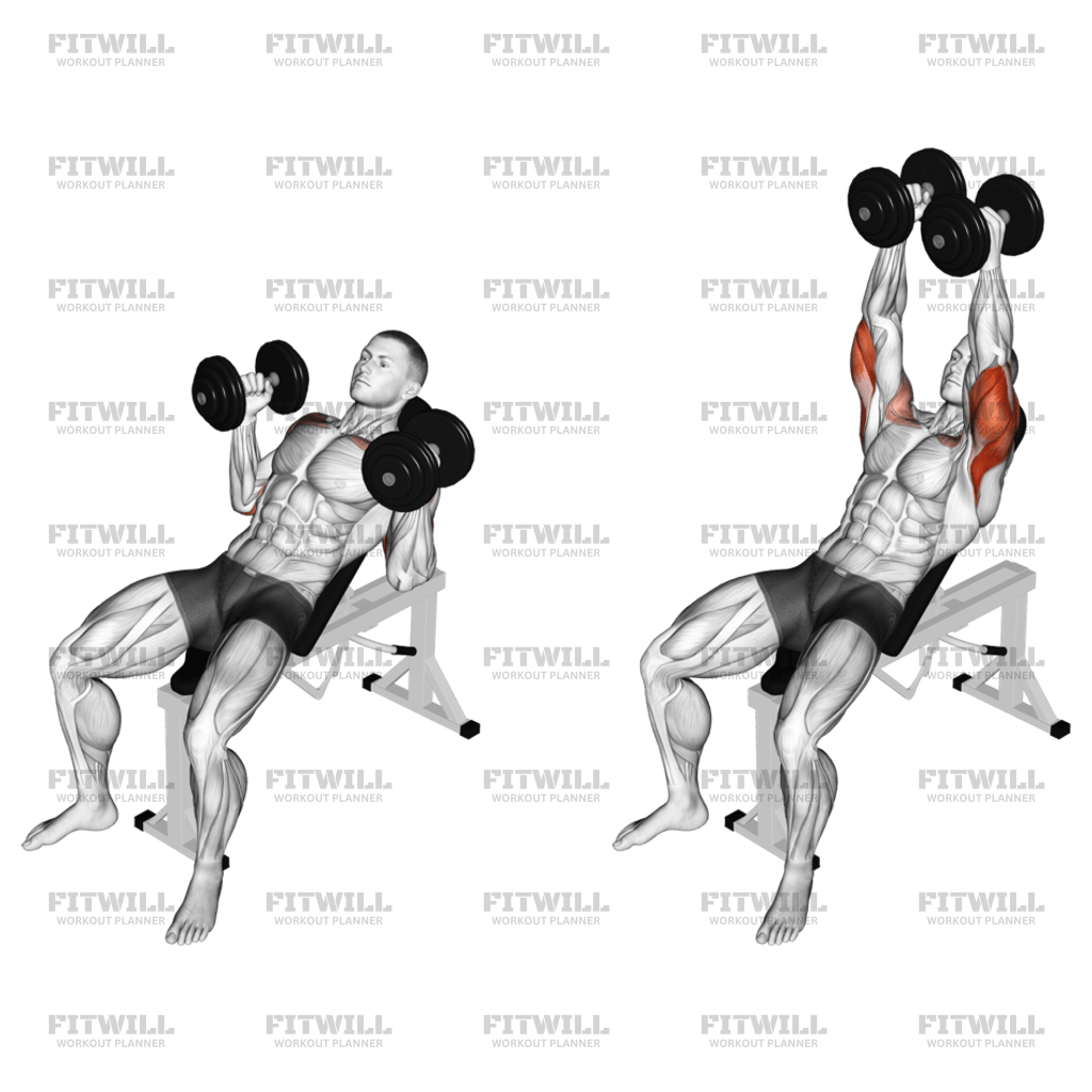 Dumbbell Palms In Incline Bench Press: Exercise Guide, Video, Techniques, Benefits, How to ...