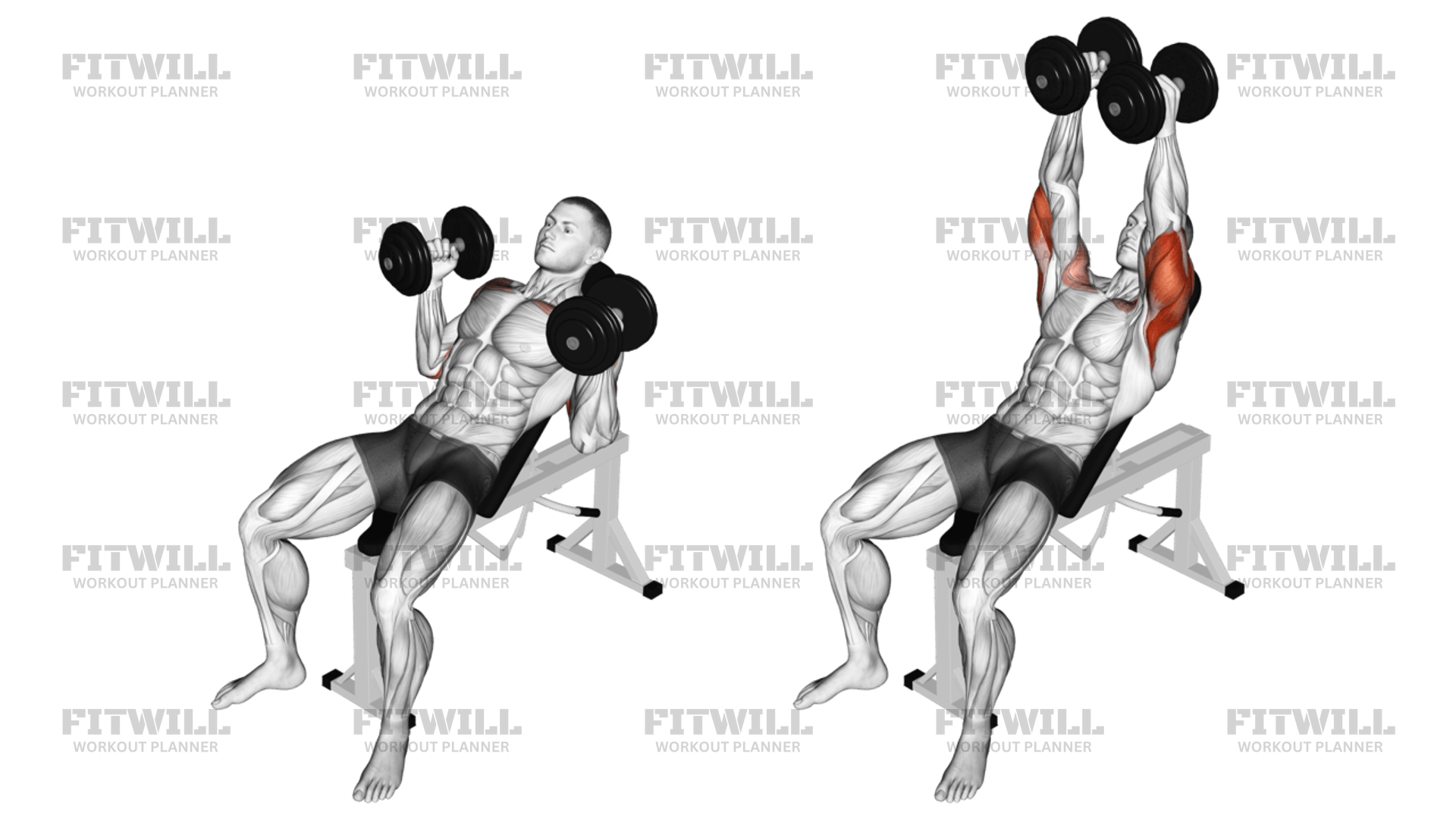 Dumbbell Palms In Incline Bench Press: Exercise Guide, Video ...