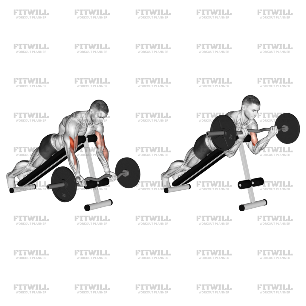 EZ Barbell Spider Curl: Exercise Guide, Video, Techniques, Benefits ...