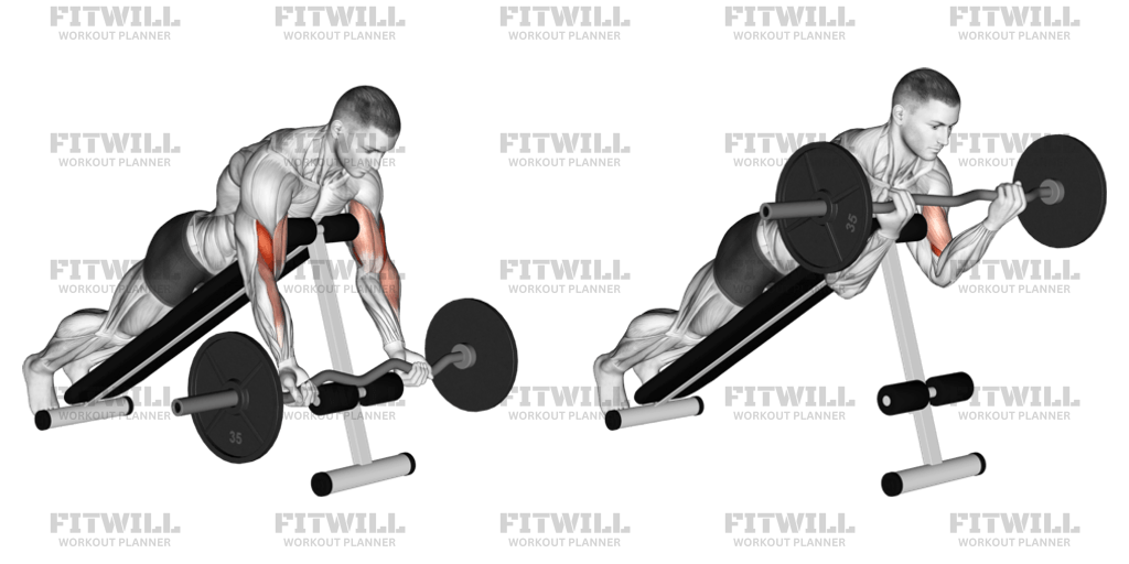 EZ Barbell Spider Curl: Exercise Guide, Video, Techniques, Benefits ...