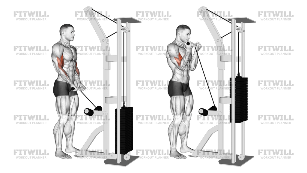 Ultimate Cable Arm Workout: Build Strength & Tone with Supersets ...