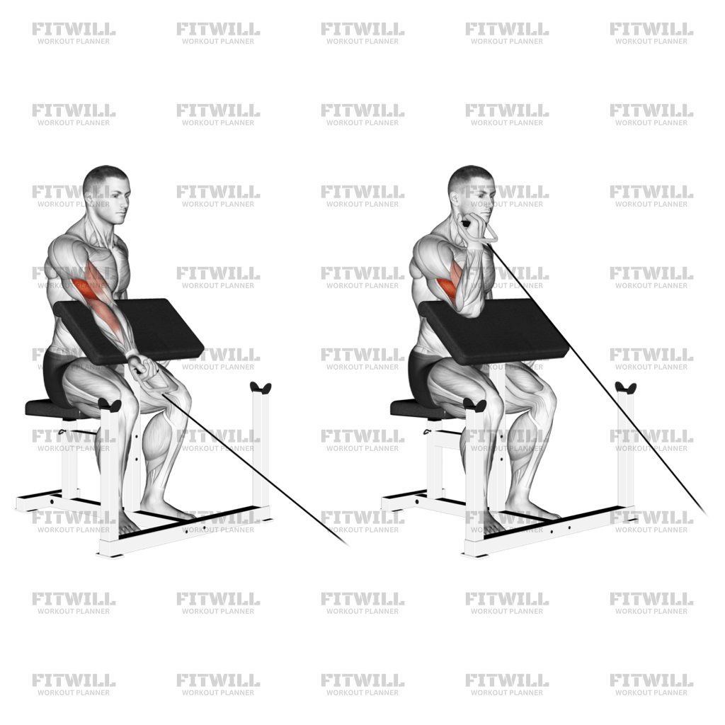 Cable One-Arm Preacher Curl: Exercise Guide, Video, Techniques ...