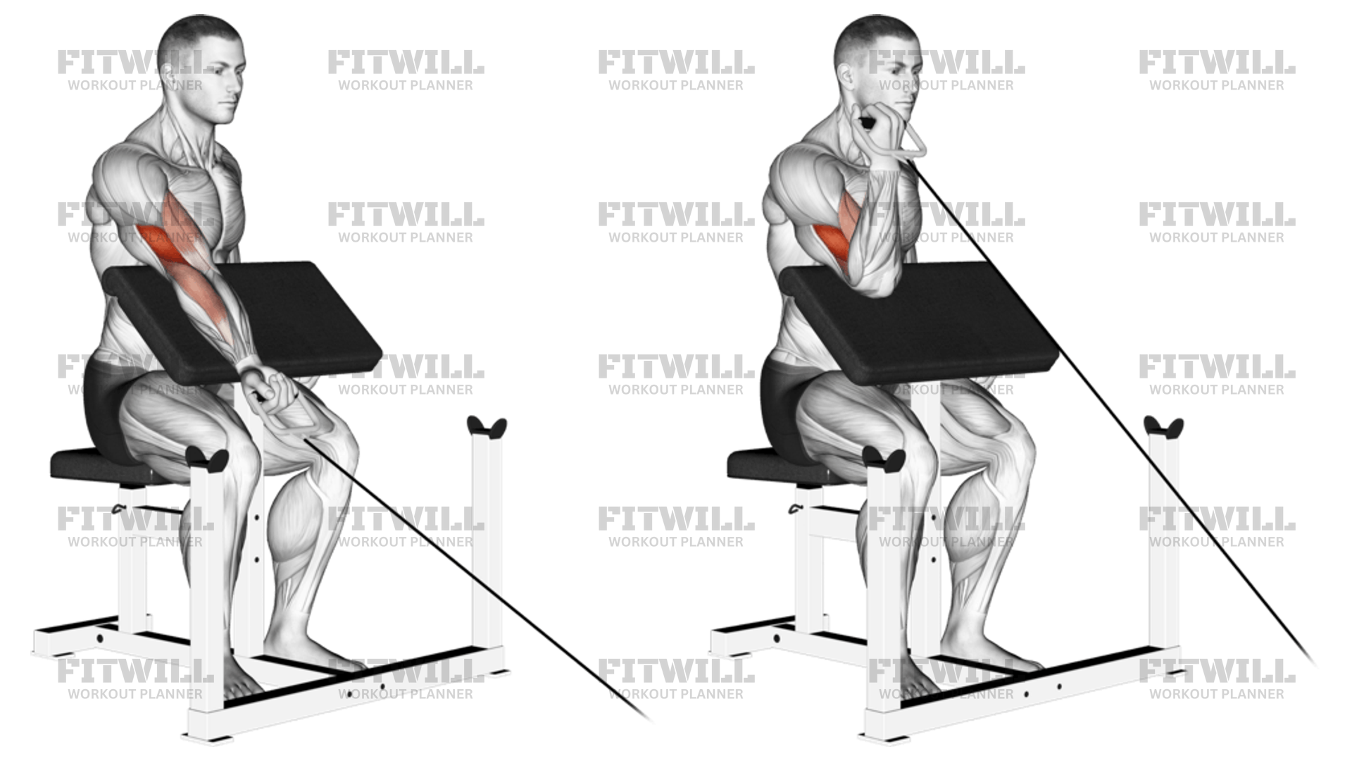 Cable One-Arm Preacher Curl: Exercise Guide, Video, Techniques ...
