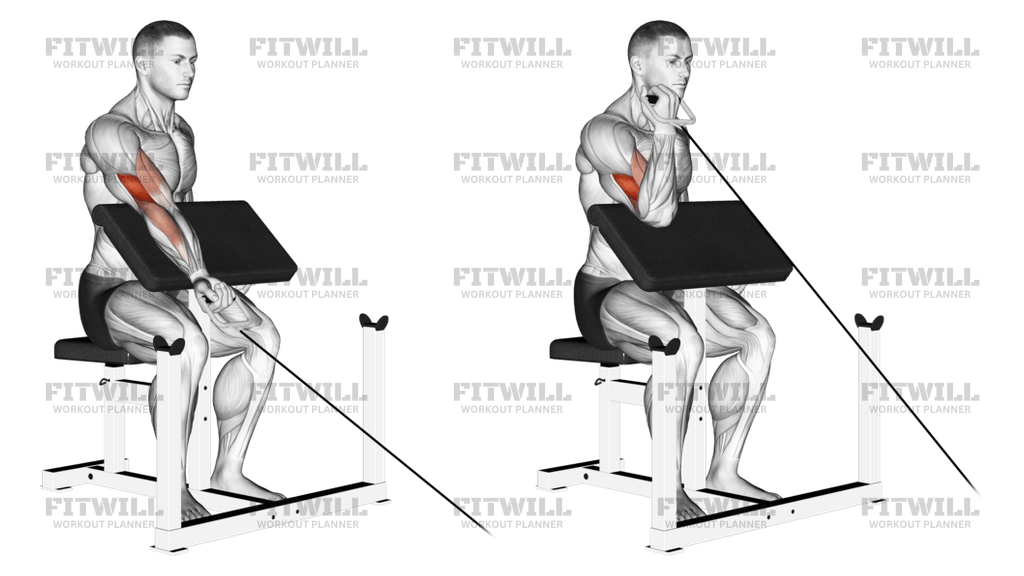 Cable One Arm Preacher Curl: Exercise Guide, Video, Techniques ...
