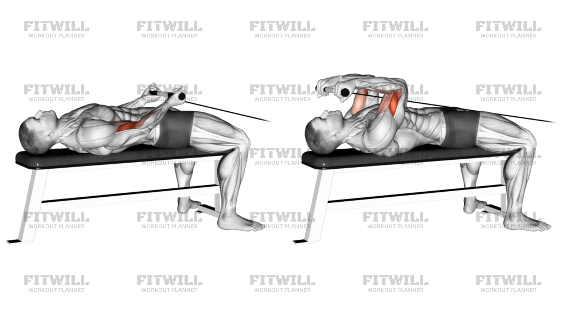 Cable Lying Bicep Curl Exercise Guide Video Techniques Benefits How To Muscles Worked