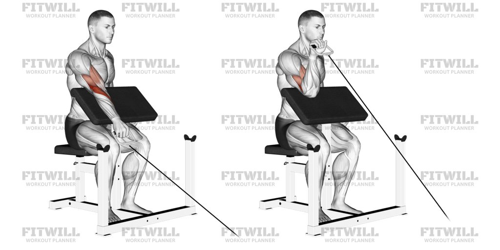 Cable One Arm Reverse Preacher Curl: Exercise Guide, Techniques ...