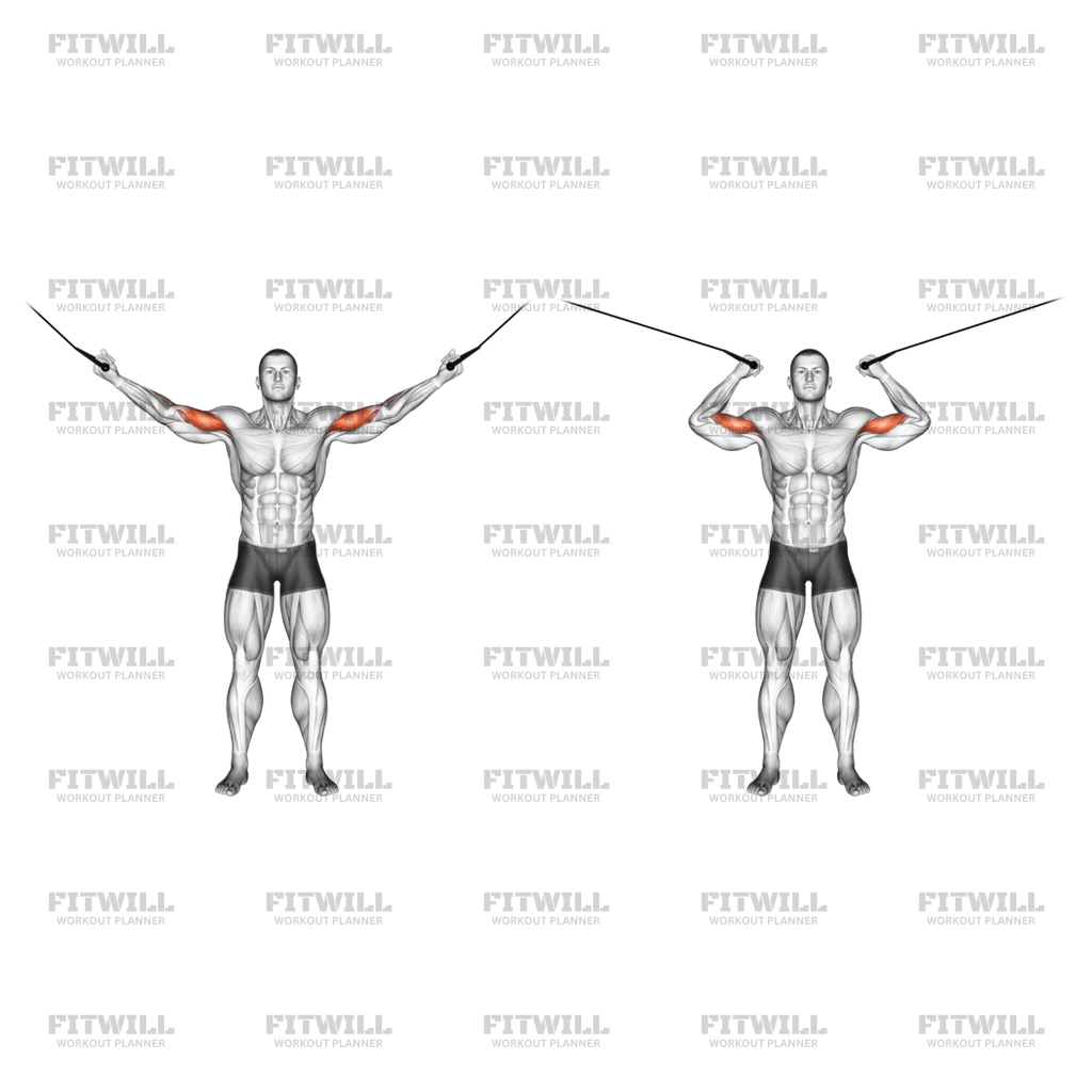 Cable Overhead Curl: Exercise Guide, Video, Techniques, Benefits, How ...